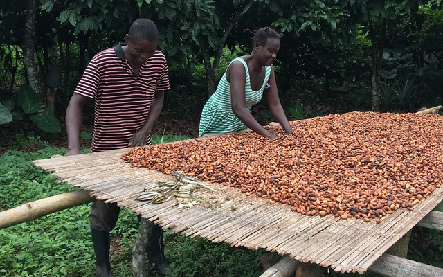 How Do You Define "Farmer" in Data-Driven Agriculture? - ICTworks