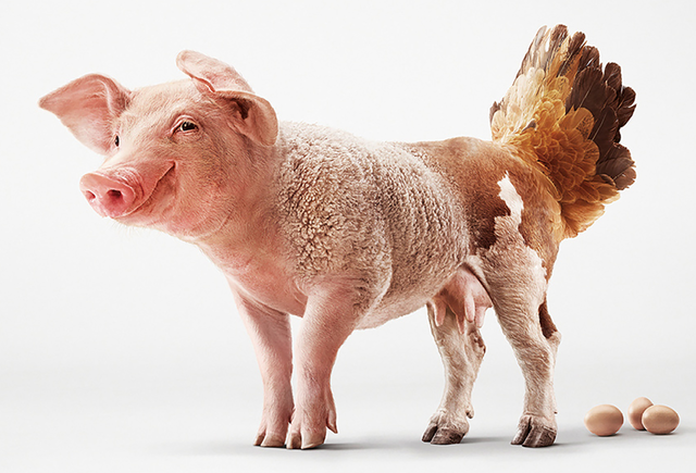 Ten Concepts Everyone in ICT4D Should Know - ICTworks