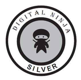 The Role of Digital Ninjas at DFID to Spread the Use of Innovative ...