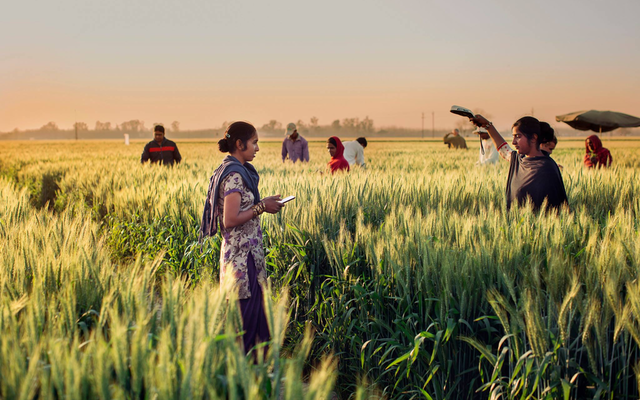 USAID Insight: Digital Profiles of Smallholder Farmer Data Management