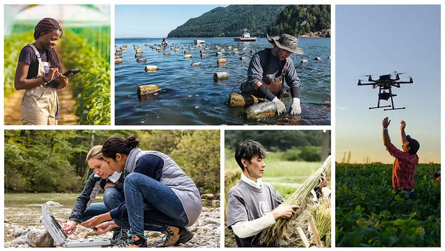 Apply Now: $50,000 for AI and Environmental Justice Solutions