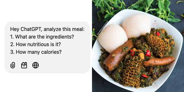 Use ChatGPT Visual Skills to Improve USAID Nutrition Programs - ICTworks